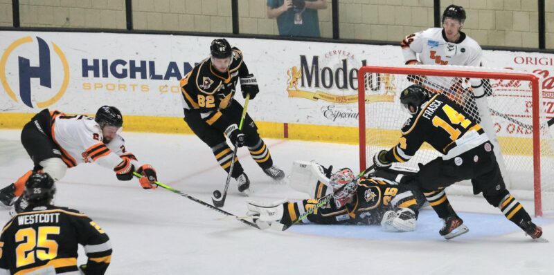 Nailers Move Closer To Playoff Berth With Victory Over Komets | News ...